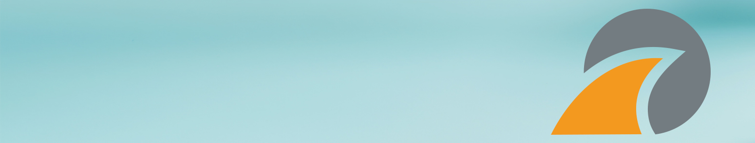 We Are Precio Fishbone